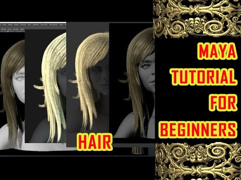 HAIR IN MAYA ARNOLD | maya hair simulation |maya hair tutorial | maya ...