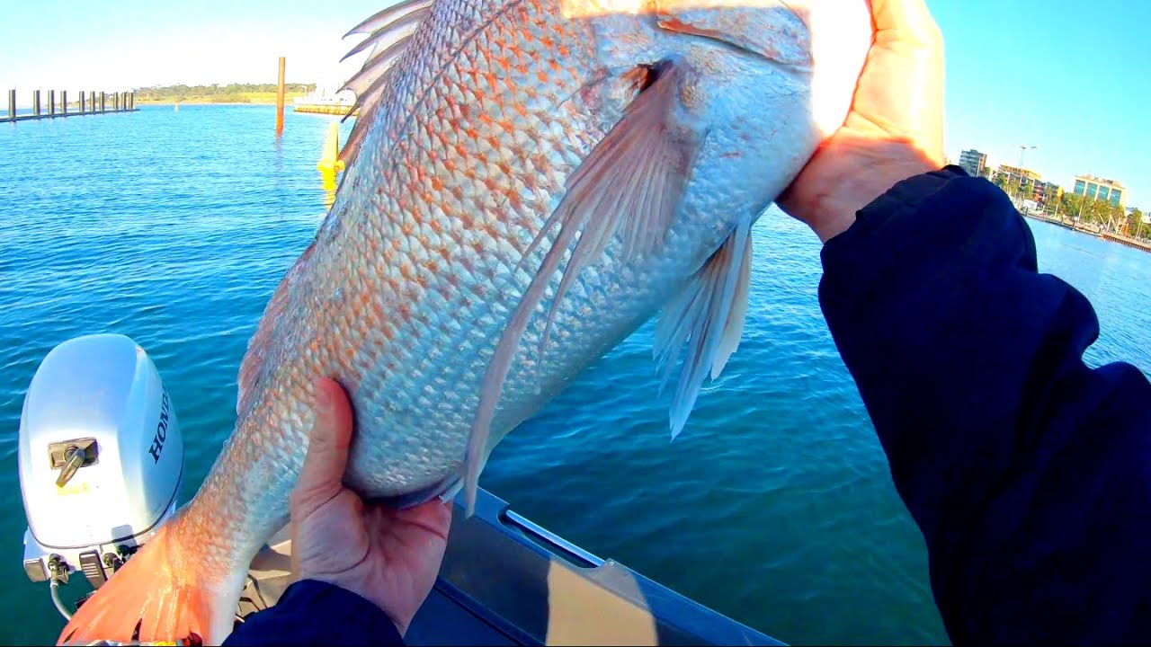BIG FISH VS Small Boat!!! - YouTube