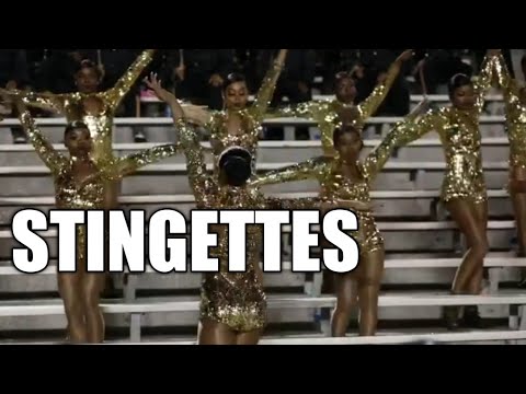 The Alabama State Stingettes Killing It - YouTube