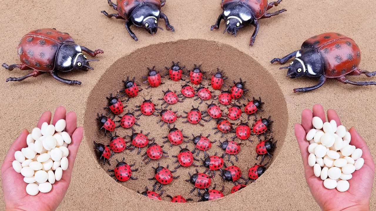 Mentos VS Coca Cola, Sprite, Monster, Fanta, different Toy insect and ...