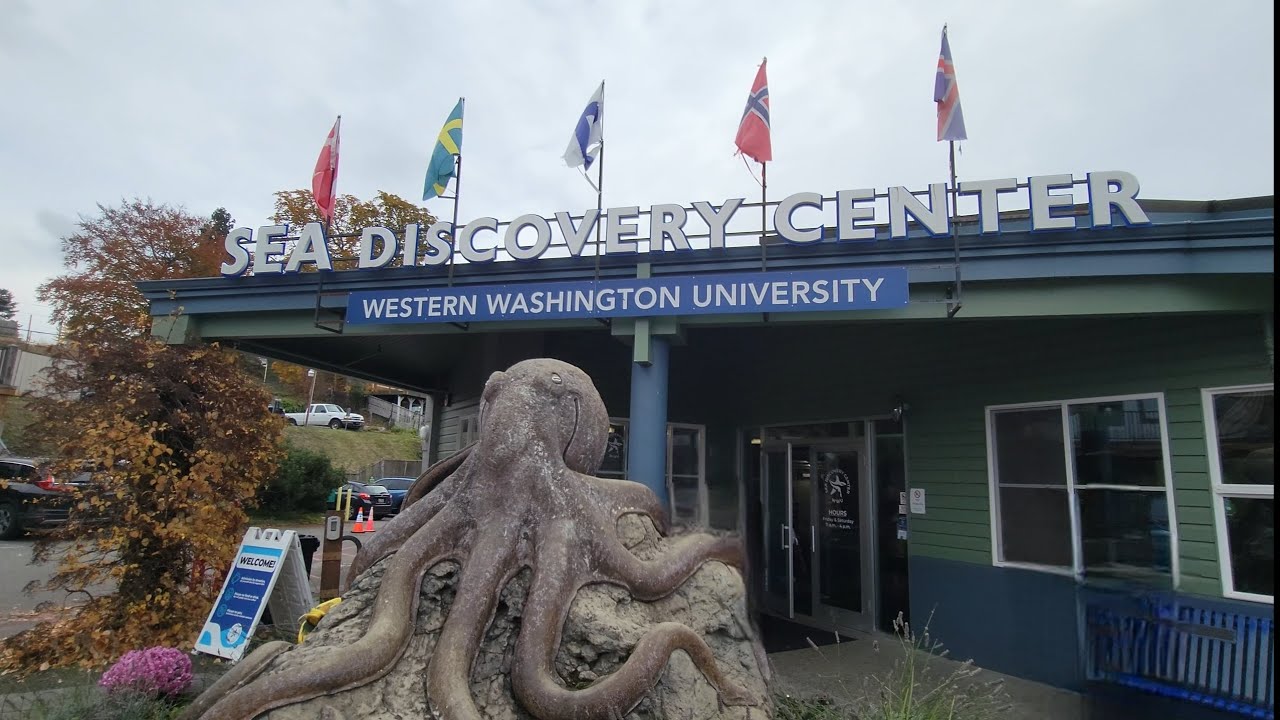 Exploring the Sea Discovery Center in Poulsbo Washington - YouTube
