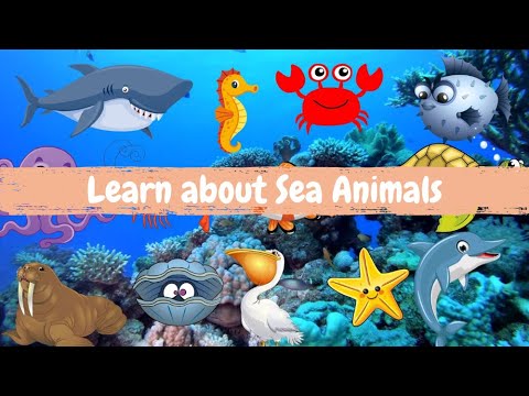 The Colorful World of Sea Animals: An Educational Adventure for Kids ...