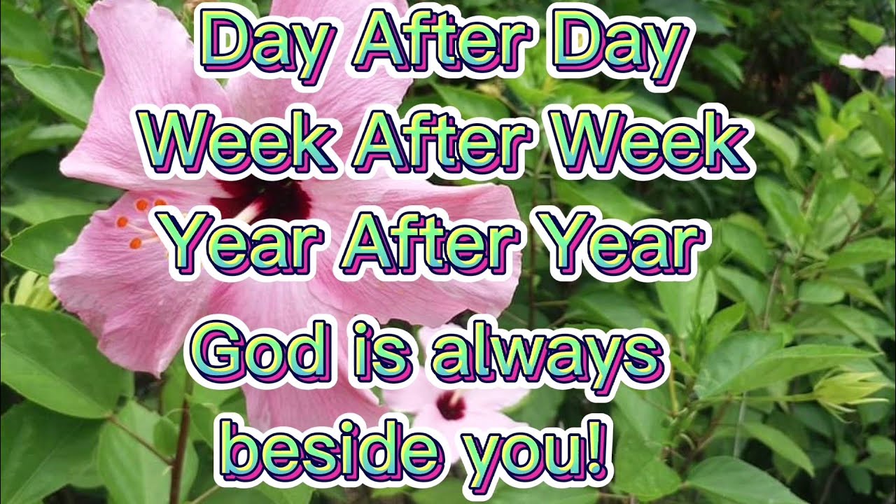 day-after-day-song-cover-by-venzjt-vlog-youtube