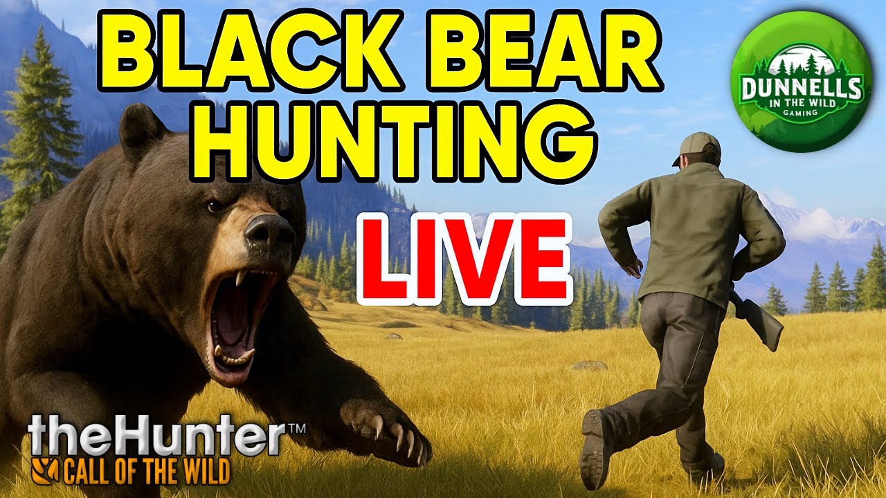 LIVE Great One Black Bear Hunt – Will It Finally Show Up?! - YouTube