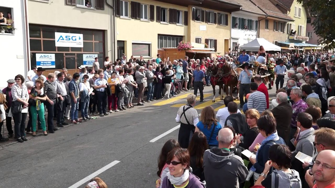 Winzerfest Döttingen 2014 Umzug - YouTube