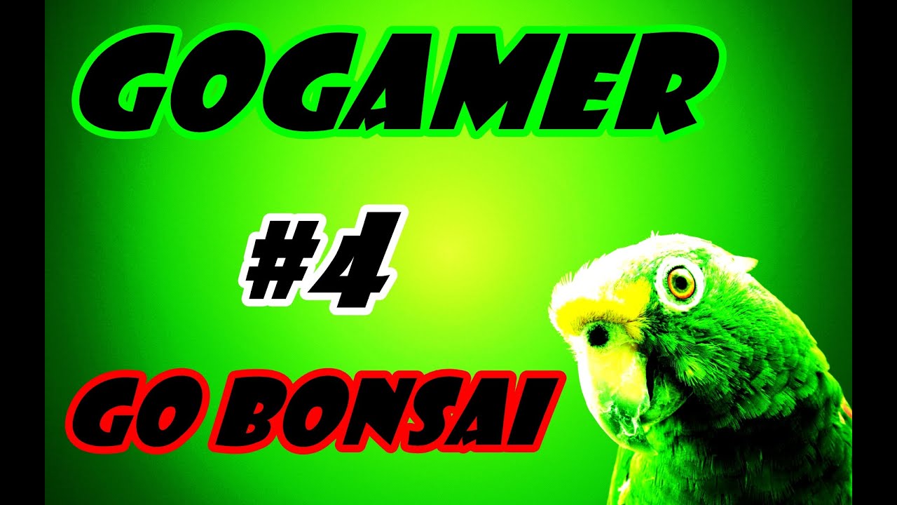 GoGameR #4 Go Bonsai - YouTube