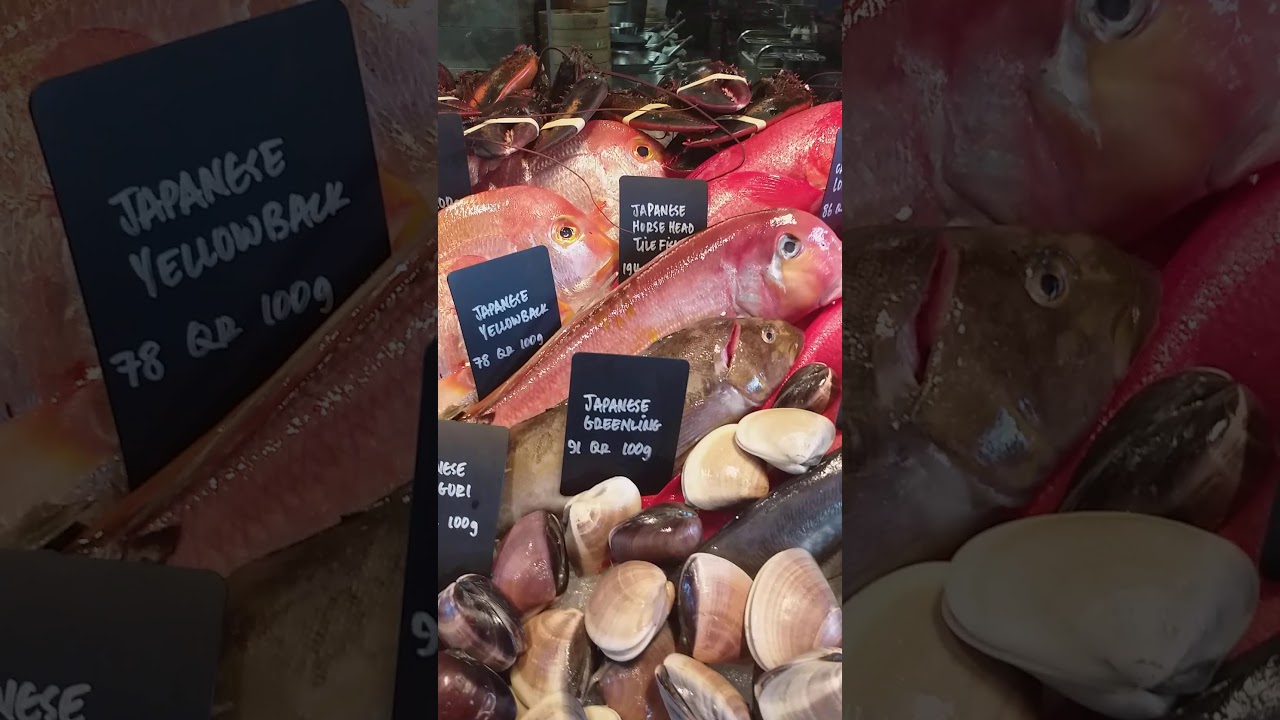 Fish market novikov doha - YouTube