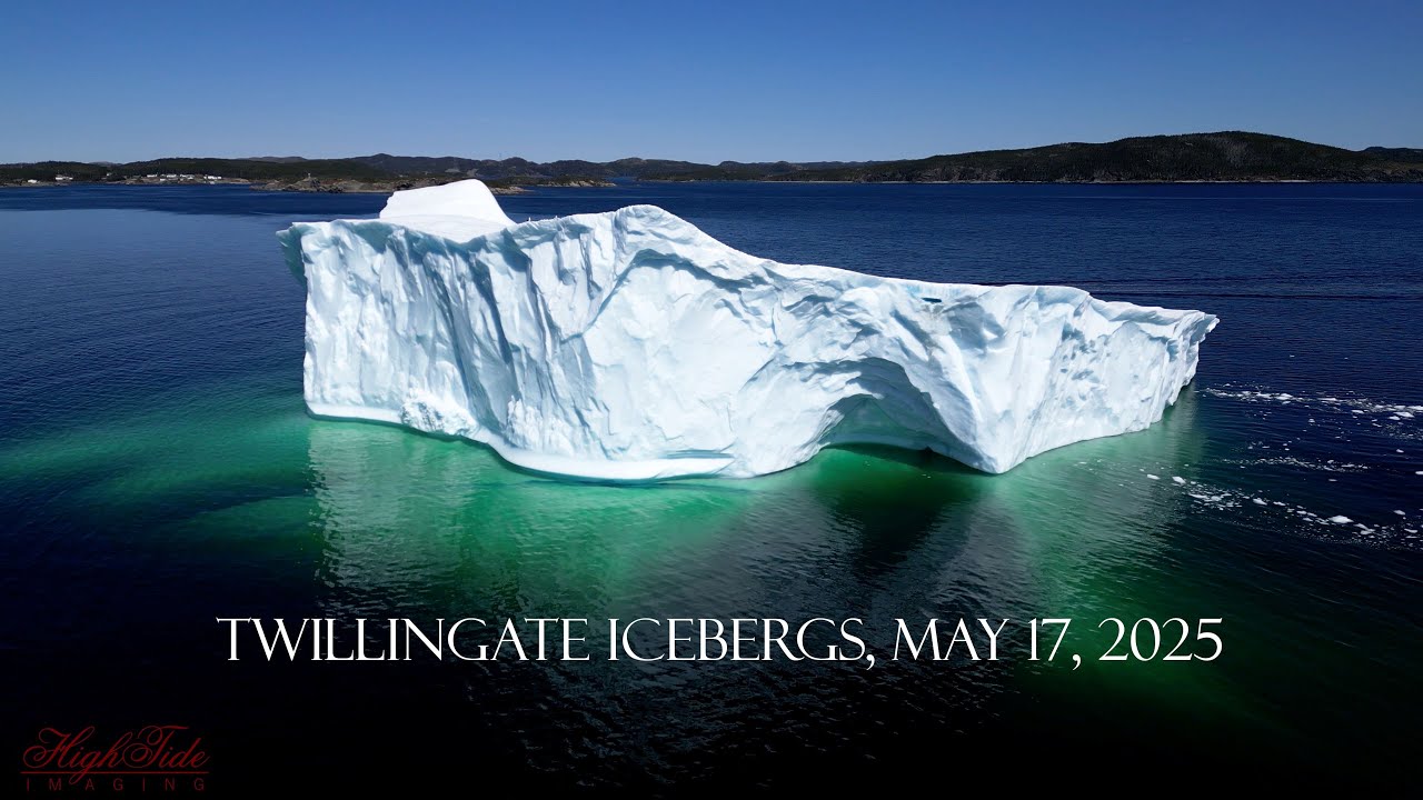 Icebergs Near Twillingate, Newfoundland and Labrador, May 17, 2025 ...