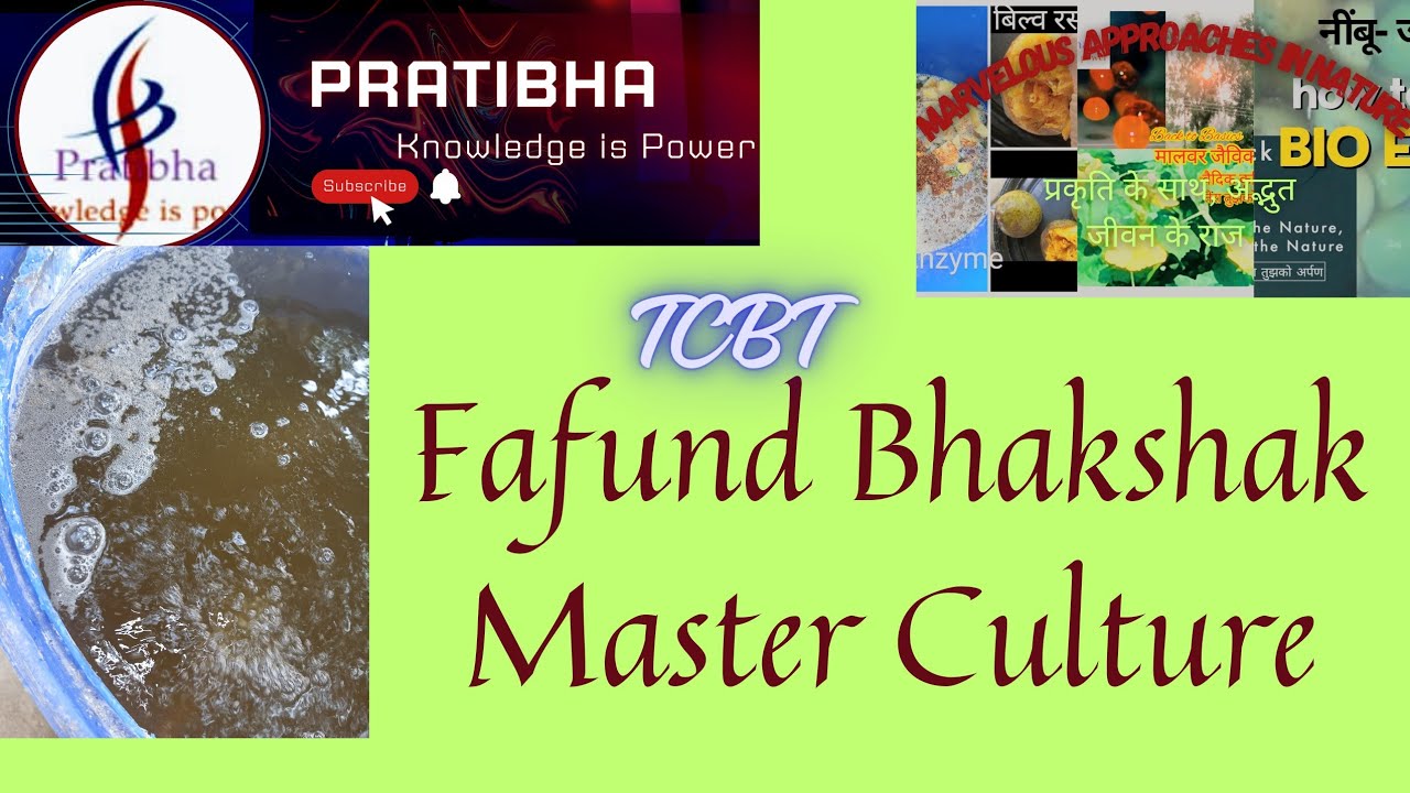 Fafund Bhakshak Master Culture TCBT for Natural Farming - YouTube