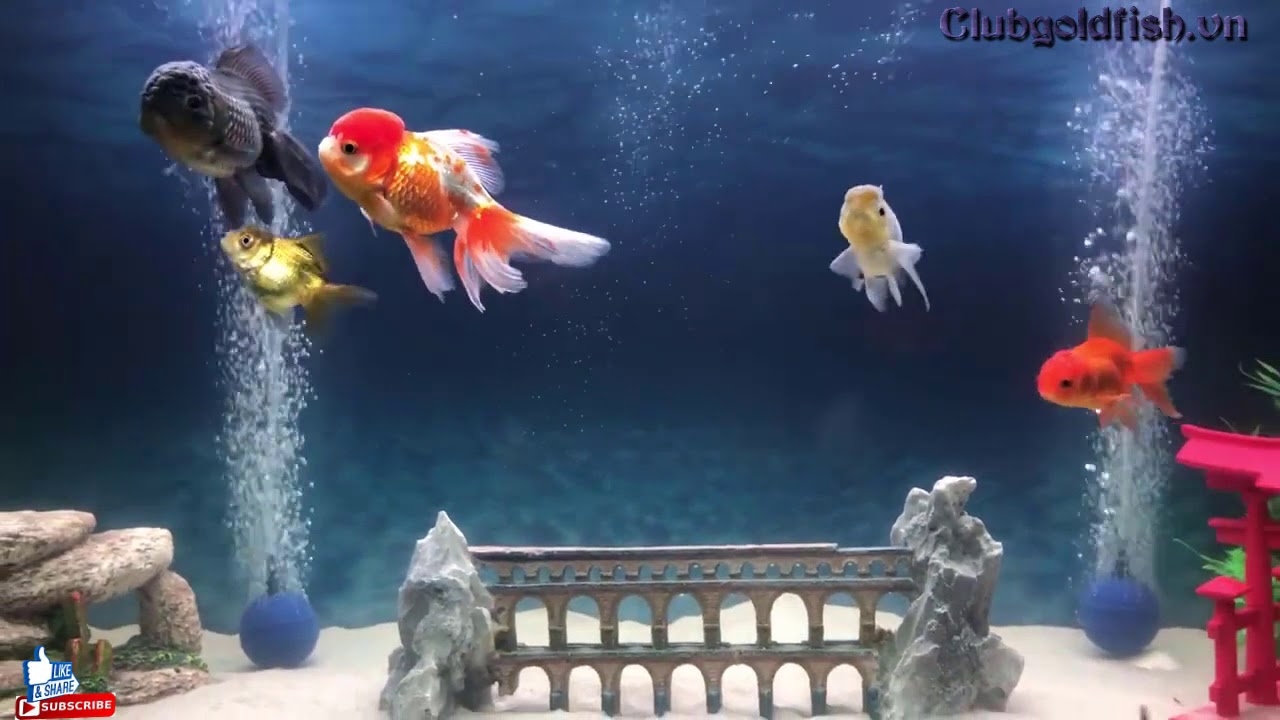 Winter is cold but I’m sure there’s food here some where nope 😂 ...