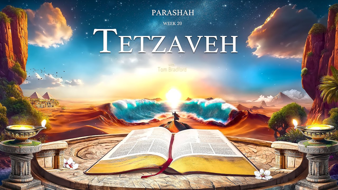 Parashah Week 20 : The Sacred Call | The Legacy of The Levitical ...