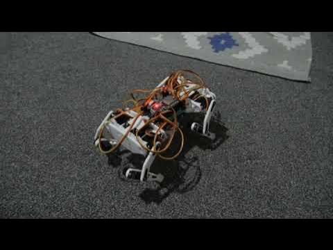 ESP32 Small quadruped robot, robot dog, rotation - YouTube