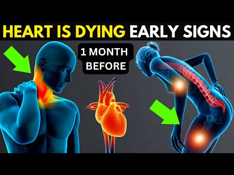 7 Warning Signs Your Heart is Crying for Help 1 Month Before it Dies ...