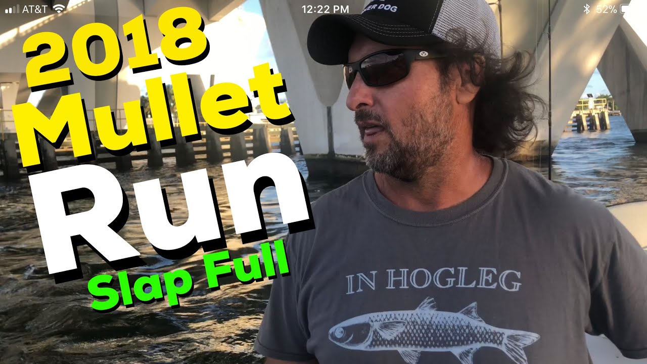 Live Bait Insanity - Florida Fall Mullet Run - YouTube
