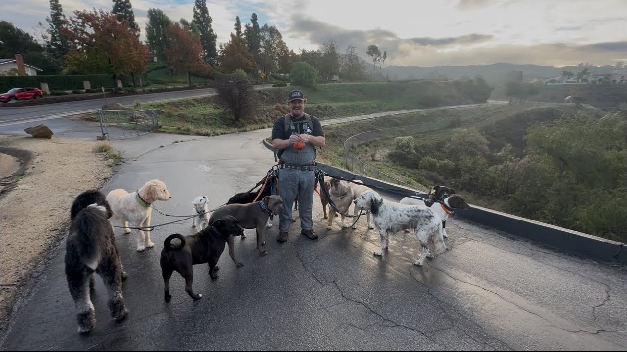 DOGEX: Uncle Drew Works with Reactive Dogs Specifically - YouTube