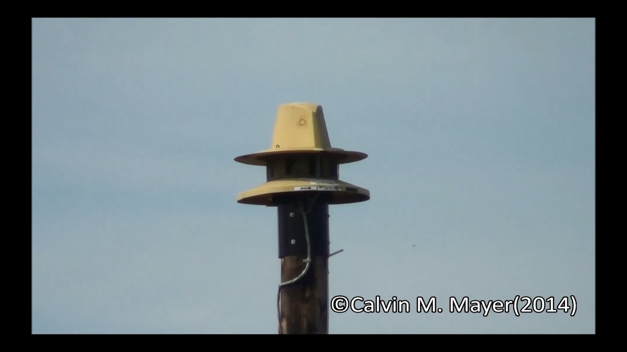 Kendallville, IN ACA Banshee Siren Test 9-20-14 - YouTube