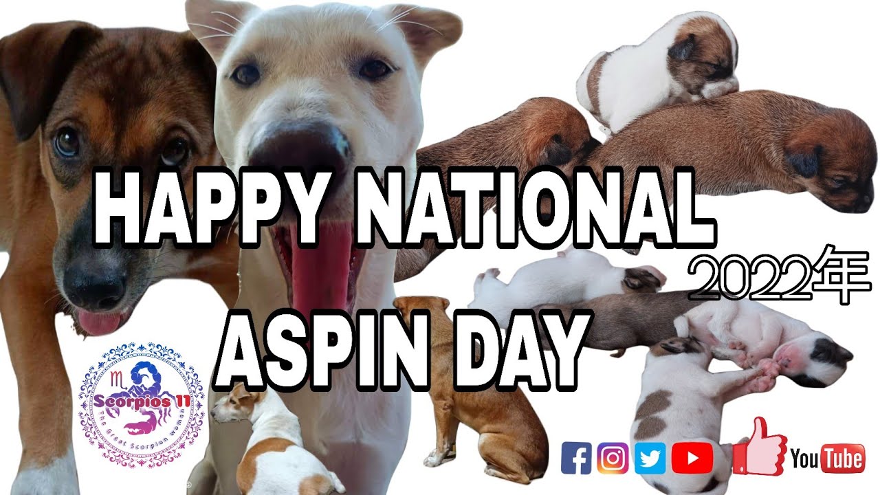 HAPPY NATIONAL ASPIN DAY 2022年 - YouTube
