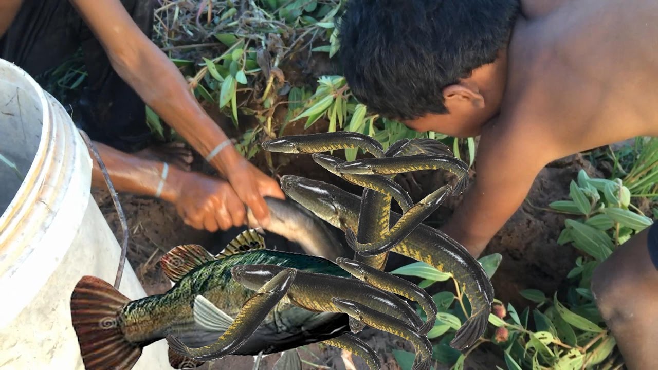 Amazing Children make Deep Hole Traditional Fishing - How to Fish With ...