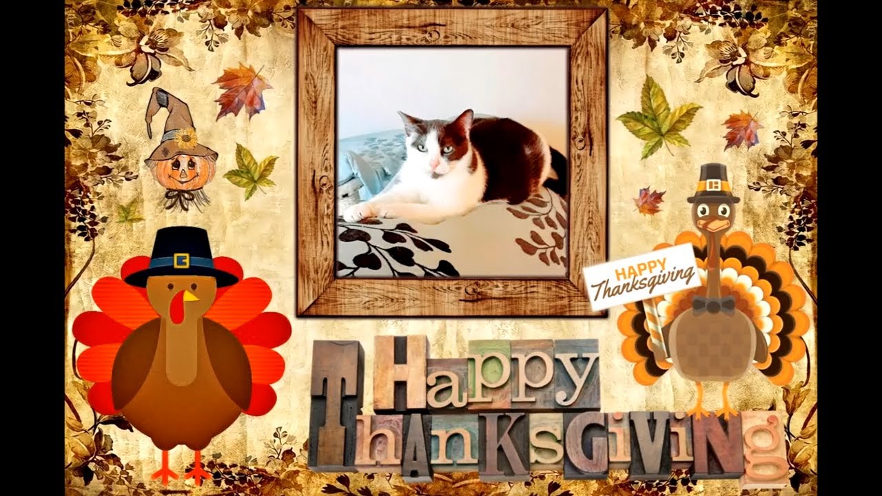 Thank you for watching Remy boy and his Mommy - YouTube
