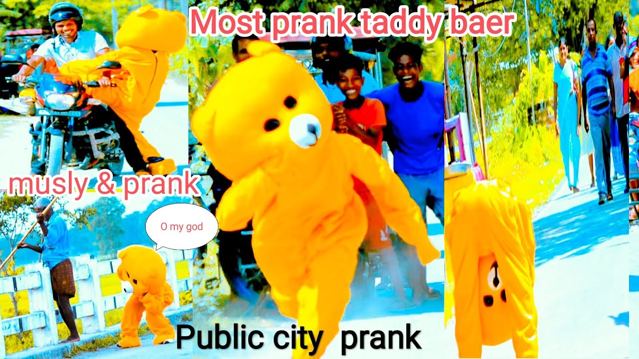 teddy bear comedy pranks / teddy bear funny video dance teddy bear ...