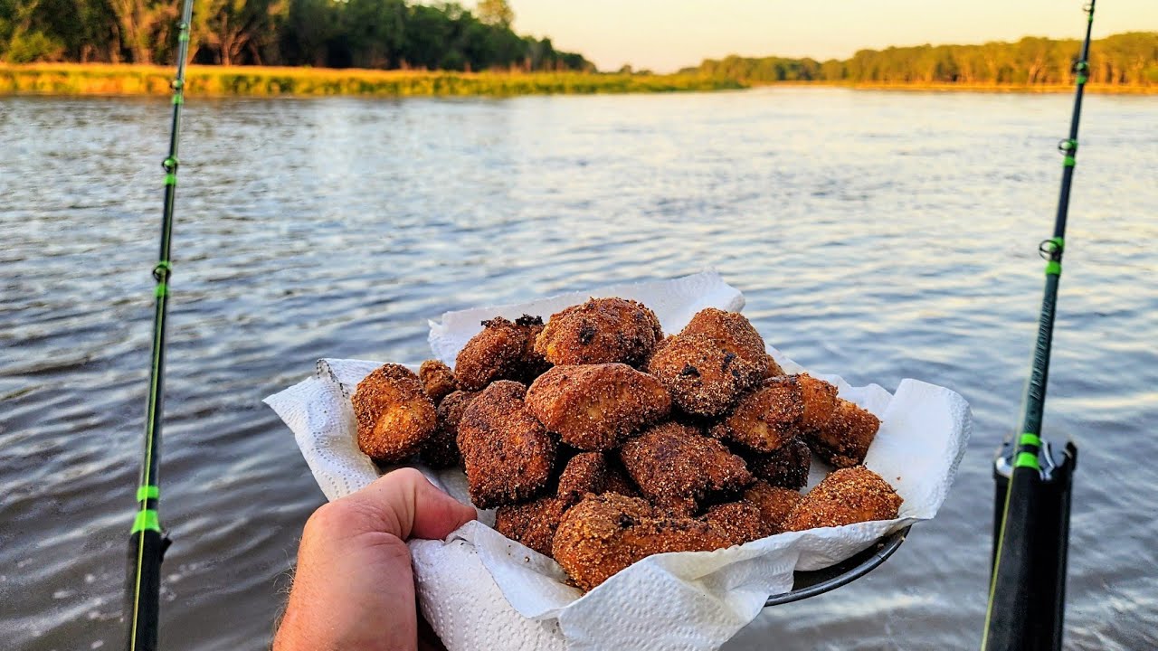 ALL NIGHT Catch and Cook!!! (Flathead Fishing) - YouTube