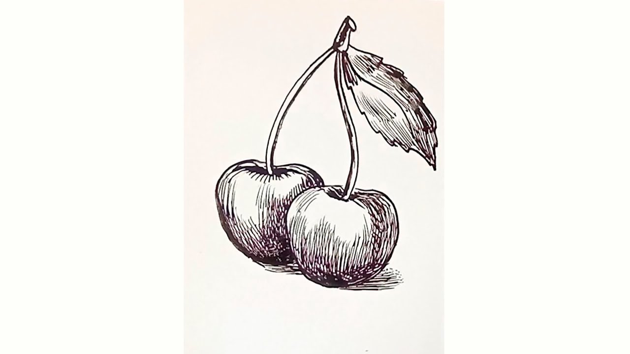 How to draw cherries with ink / Pencil and INK / Drawing lesson for ...
