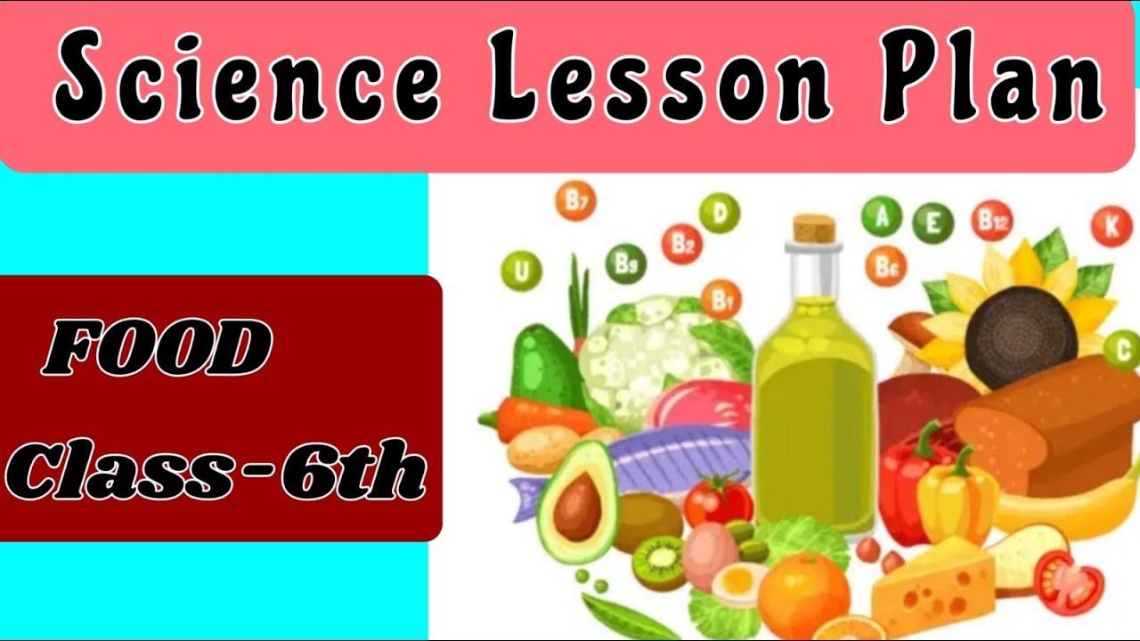 Science Lesson Plan FOOD Where Does It Come From YouTube science-lesson-plan-food-where-does-it-come-from-youtube