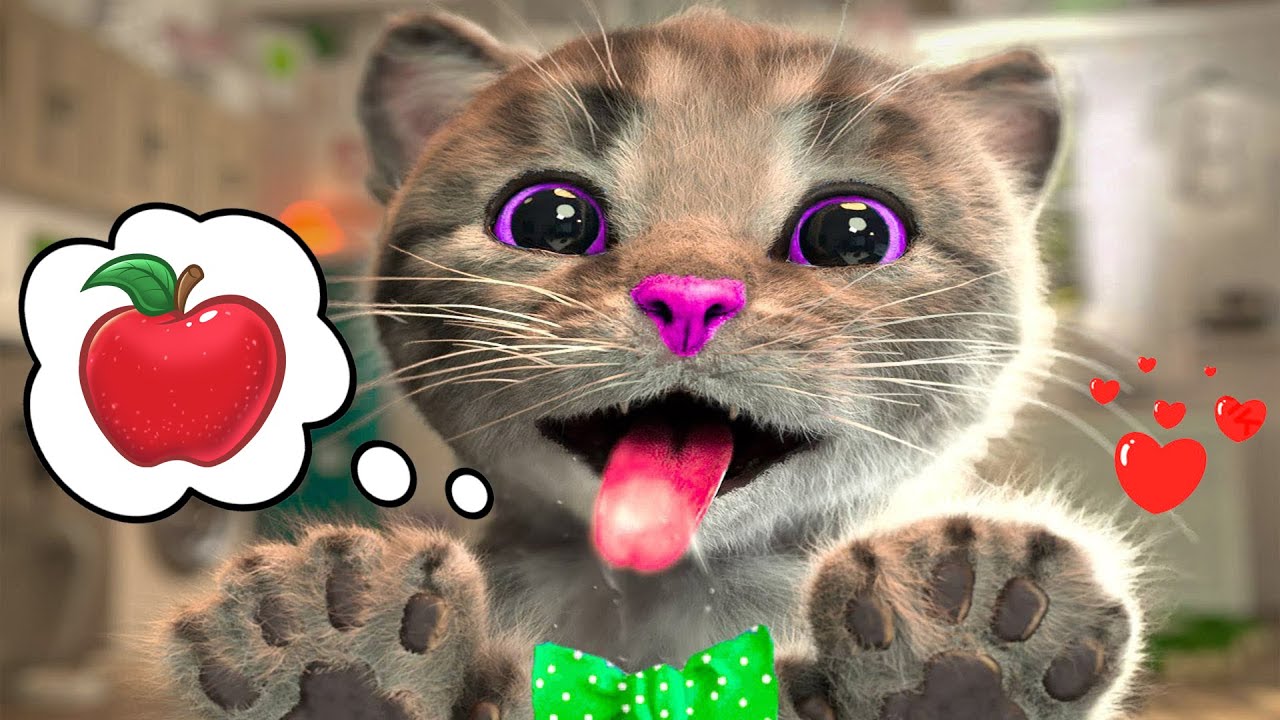 Fun Pet Care Game-Little Kitten Adventures -Little Kitten My Favorite ...