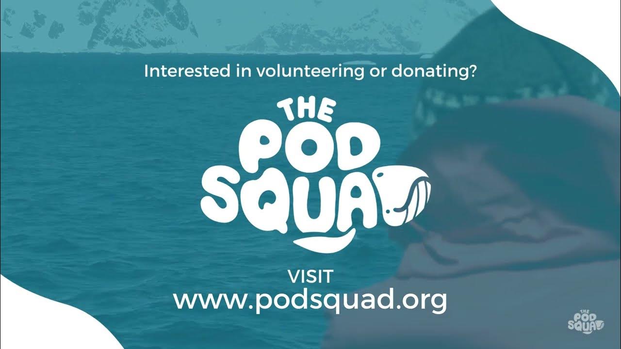 The Pod Squad - 9:16 - YouTube