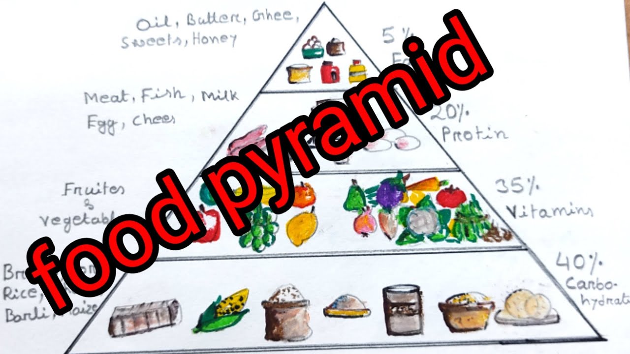 Food pyramid drawing//how to draw food pyramid//food chart drawing for ...