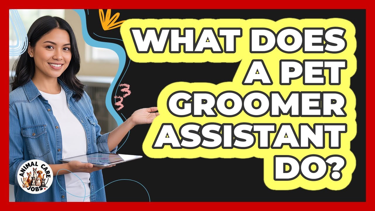 What Does a Pet Groomer Assistant Do? - YouTube
