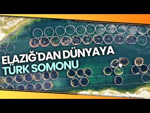Türkiye'nin Üretim Merkezi Elazığ'dan Dünyaya Türk Somonu İha