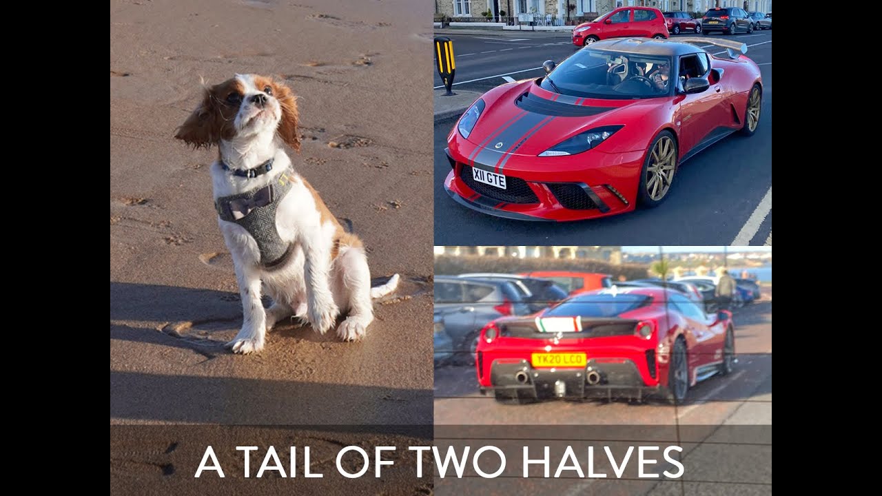 A Tail of Two Halves - YouTube