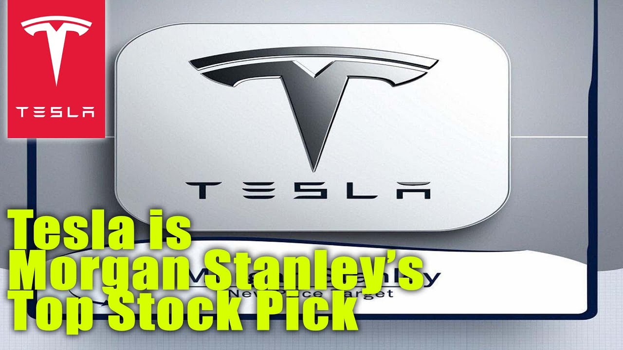 Tesla is Morgan Stanley’s Top Stock Pick - YouTube