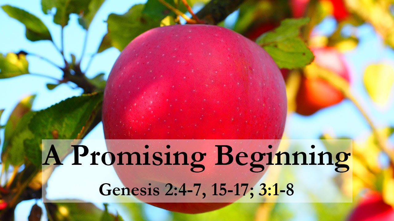 A Promising Beginning - YouTube