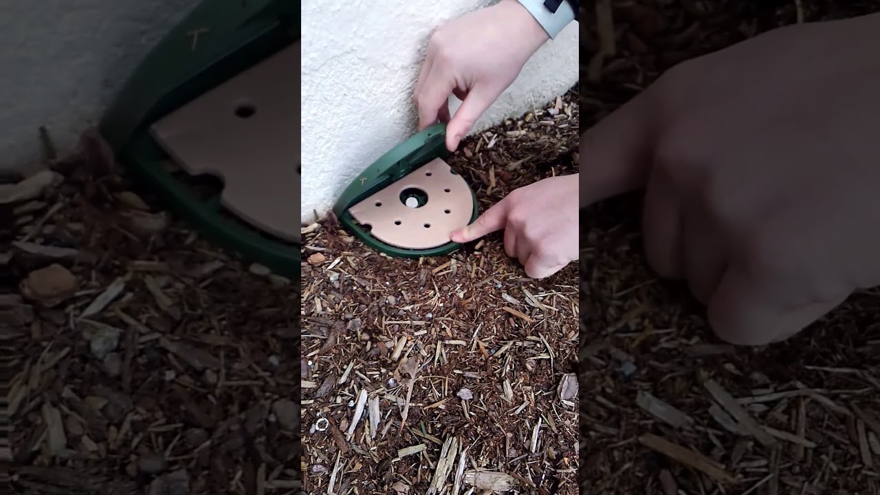 GreenHow Termite Monitor - YouTube