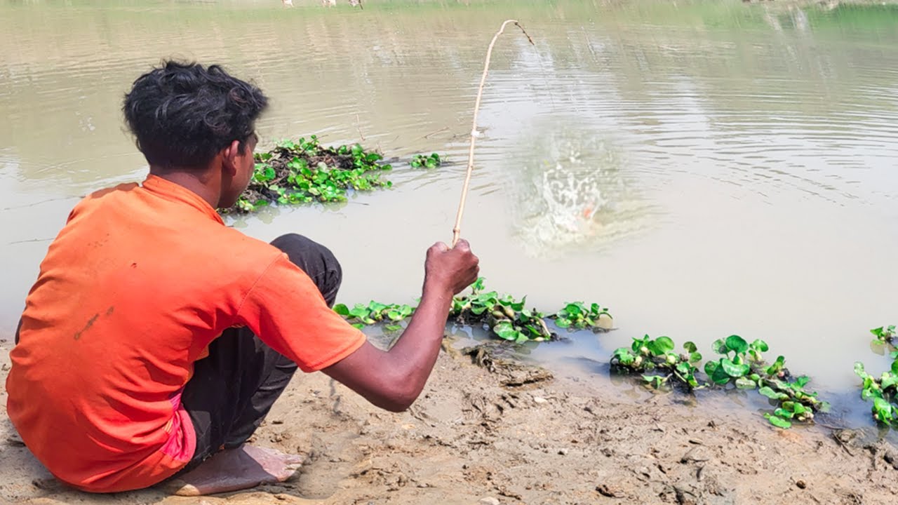 Amazing hook Fishing Video | Traditional Boy Catching Fish By Hook in ...