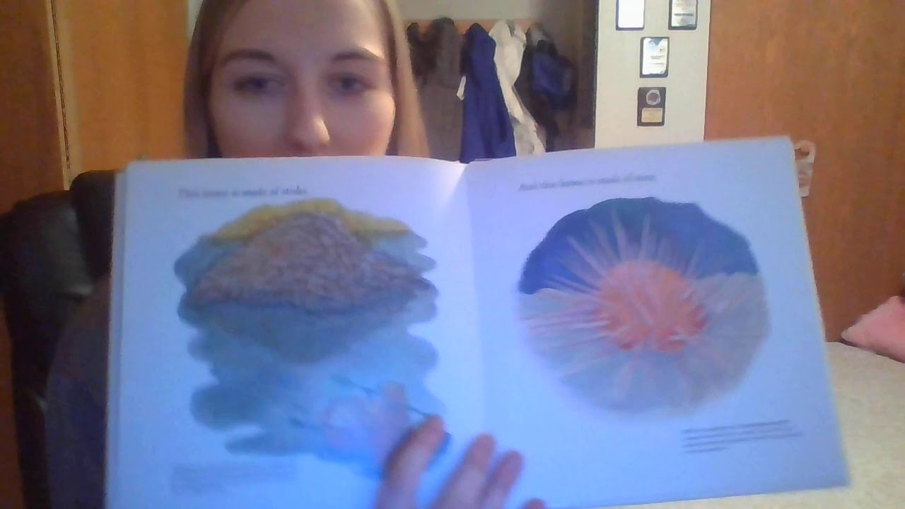 1st Grade Read Aloud: A House in The Sky and Other Uncommon Animal ...