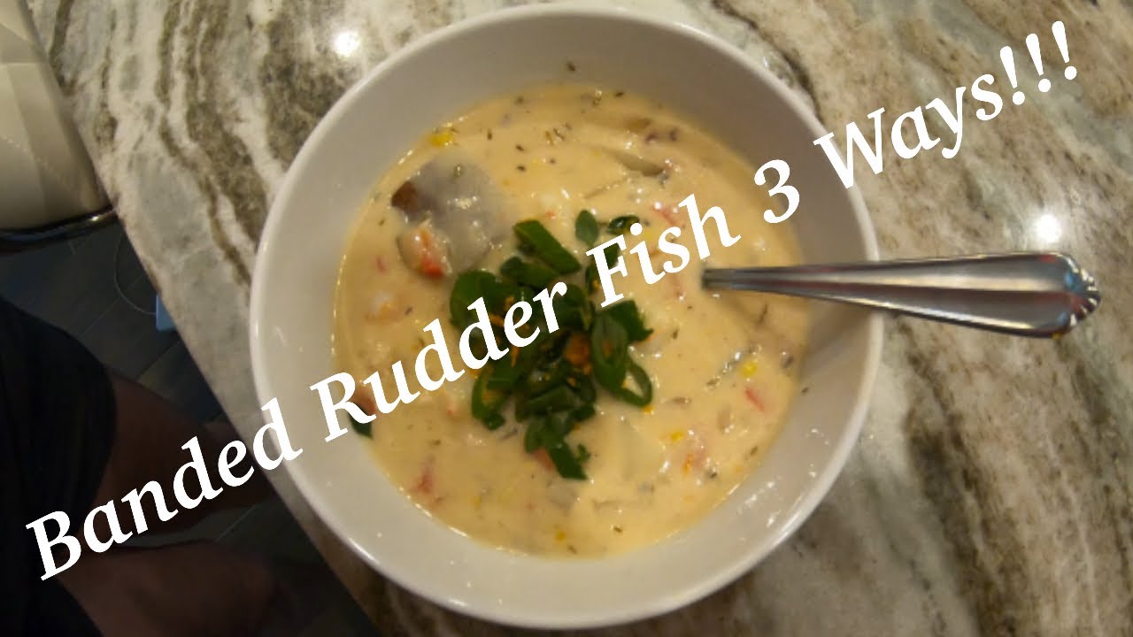 Banded Rudder Fish Three Ways - Chowder, Sushi, & Smoked - YouTube