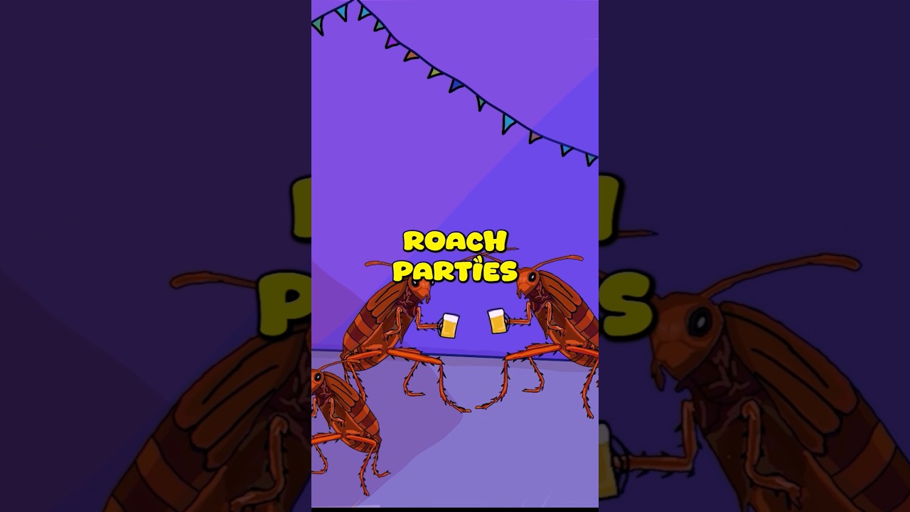 Cockroach party - YouTube