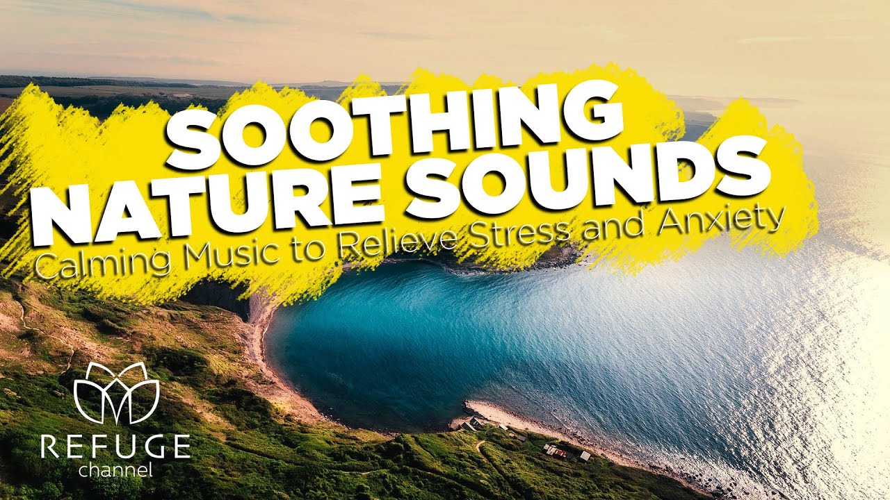 Soothing Nature Sounds: Calming Music to Relieve Stress and Anxiety ...