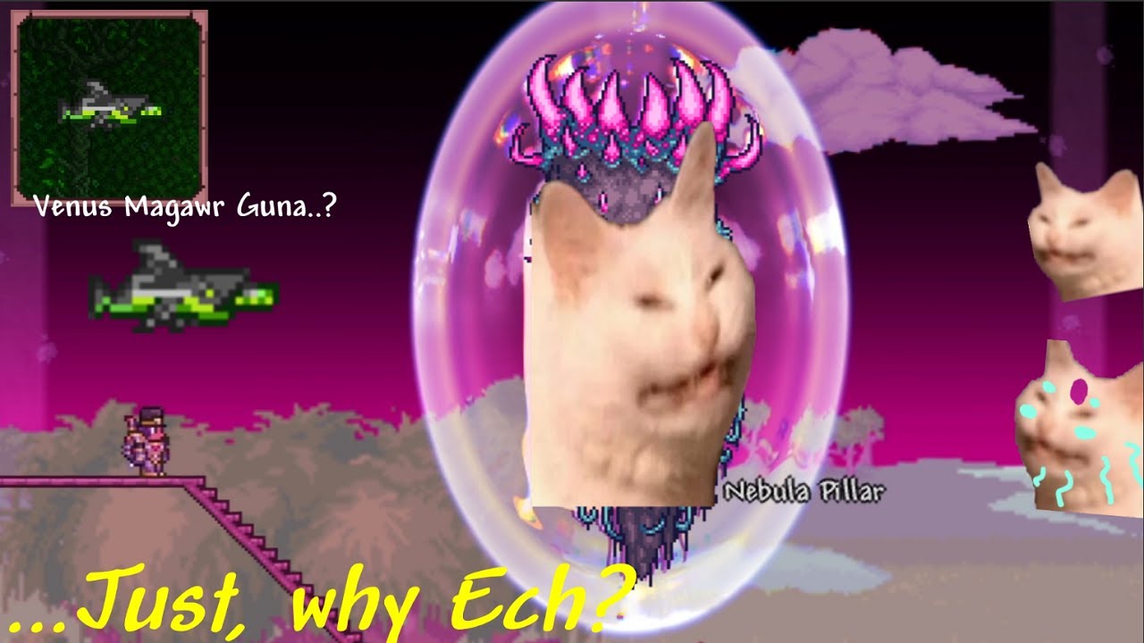 Echdeath has returned in Terraria... kinda. ─ Un-understandable ...