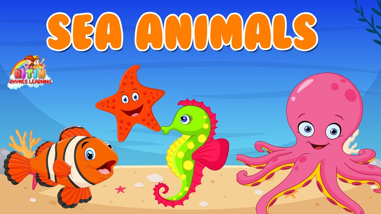 Sea animals|| Learn Sea animals||(ritim ryhmes) - YouTube