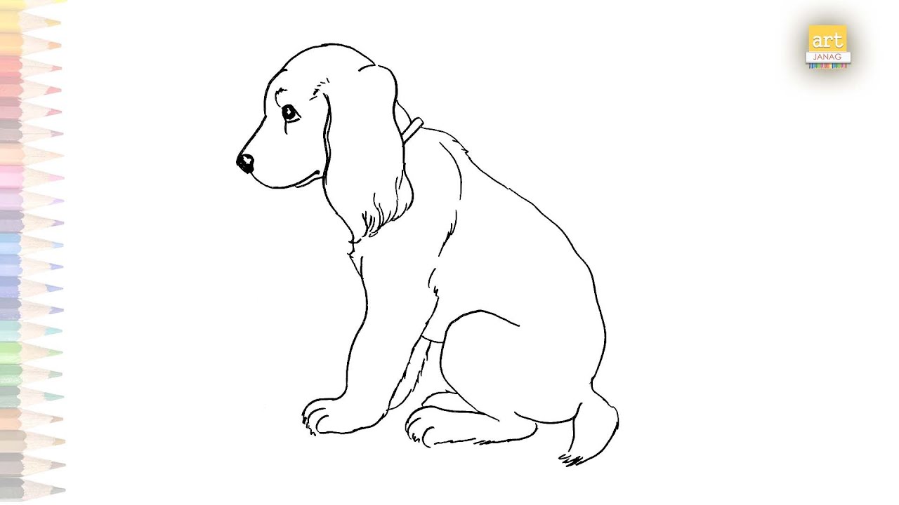 Spaniel dog outline drawing | How to draw Spaniel dog step by step ...
