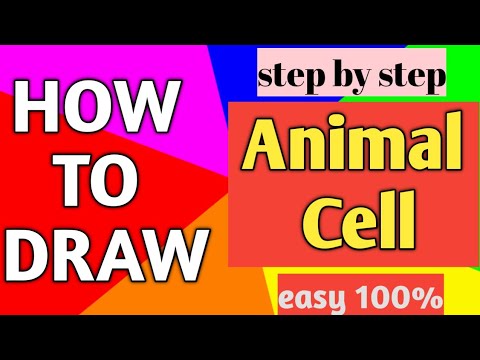 How to draw animal cell || easy way step by step||animal cell structure ...
