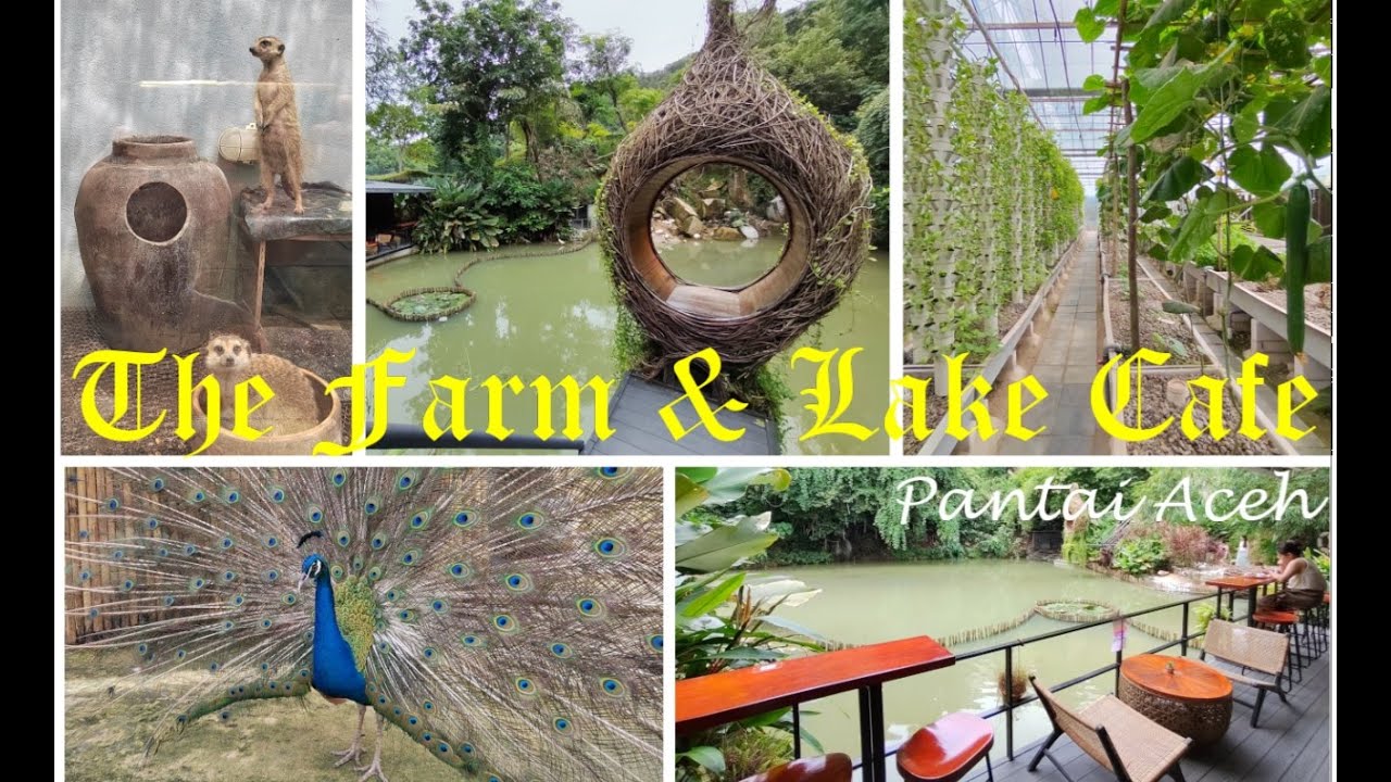 The Farm & Lake Cafe @ Pantai Aceh Bulik Pulau Penang Malaysia Mini Zoo ...