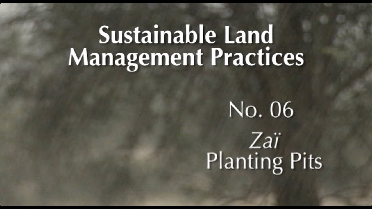 SLM 6 - Zaï Planting Pits - YouTube