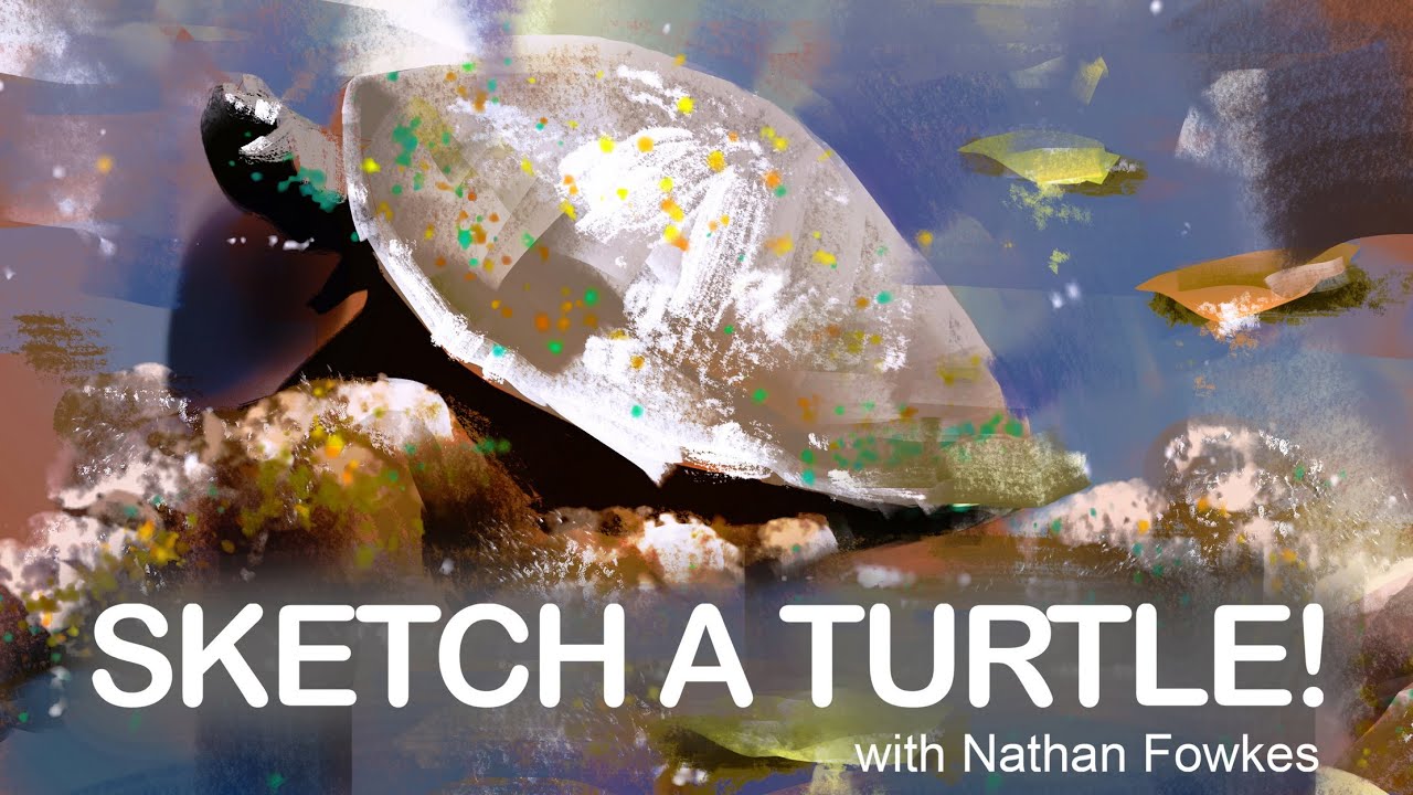 Sketch a Turtle! Digital Sketching Techniques. - YouTube