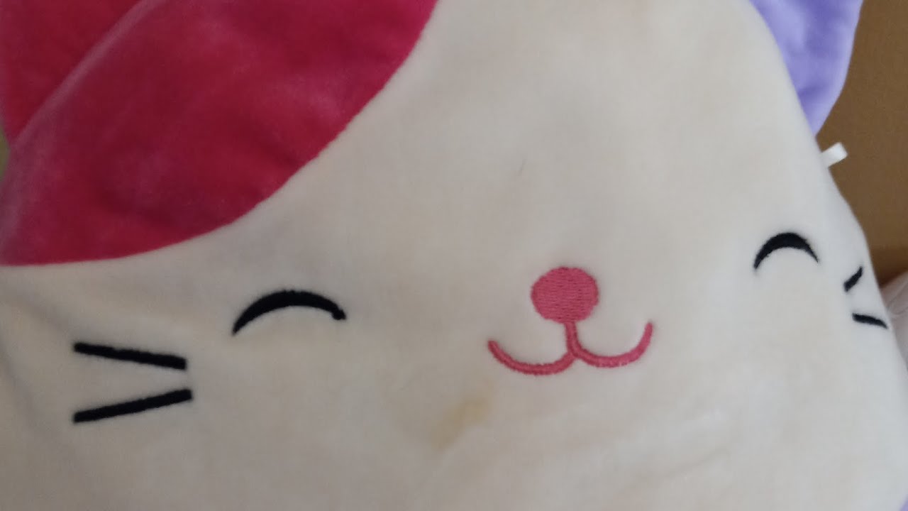 I opened a SQUISHMALLOW package for the first time!! - YouTube