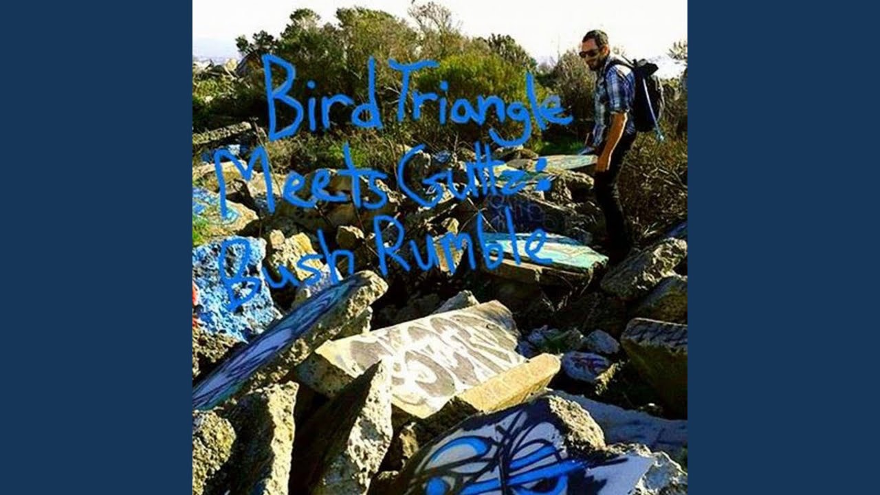 Fighter (feat. Bird Triangle) - YouTube
